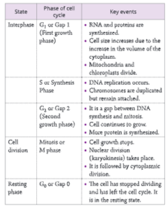 UP Board Notes for Class 10 Science Chapter 1 Cell Cycle and Cell ...