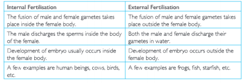 UP Board Notes for Class 8 Science Chapter 9 Reproduction In Animals ...