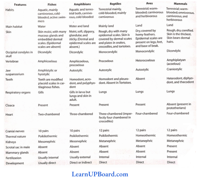 NEET Biology Animal Kingdom Notes – Learn UP Board