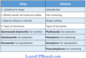 NEET Biology Animal Kingdom Notes – Learn UP Board