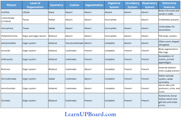 NEET Biology Animal Kingdom Notes – Learn UP Board