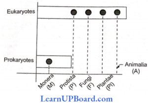NEET Biological Classification Notes – Learn UP Board