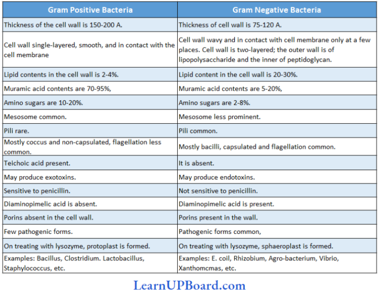 NEET Biological Classification Notes – Learn UP Board