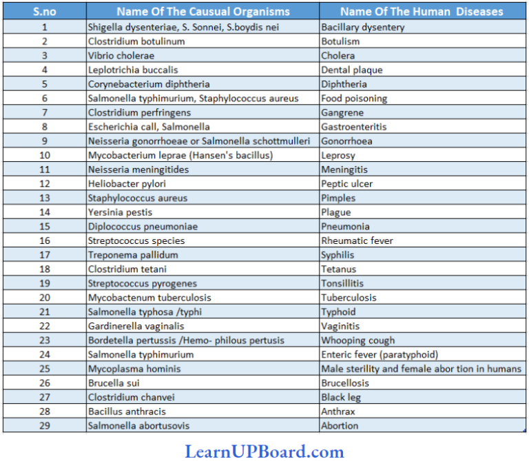 NEET Biological Classification Notes – Learn UP Board