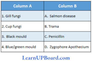 NEET Biology Multiple Choice Questions – Biological Classification ...
