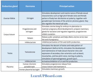 NEET Biology Notes – Chemical Coordination And Integration – Learn UP Board