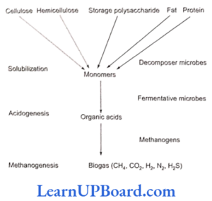 NEET Biology Notes – Microbes In Human Welfare – Learn UP Board