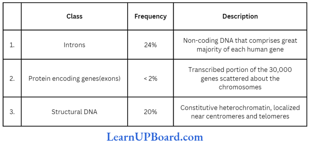 NEET Biology Notes – Molecular Basis Of Inheritance – Learn UP Board