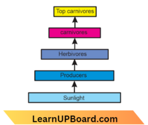 Class 10 Biology Notes For Components of Ecosystem – Learn UP Board
