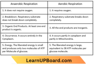 Class 10 Biology Notes For Respiration – Learn UP Board
