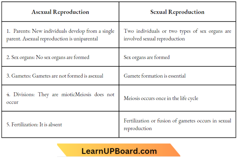 Class 10 Biology How Do Organisms Produce Chapter 3.3 Sexual ...